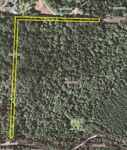 Bid4Assets.com > Auction Detail > (1101158) Pierce County, WA: APN ...