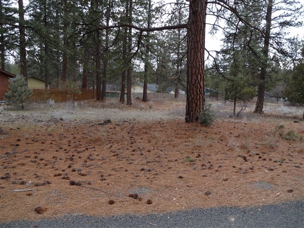 Bid4Assets.com > Auction Detail > (1096300) Siskiyou County, CA: APN ...